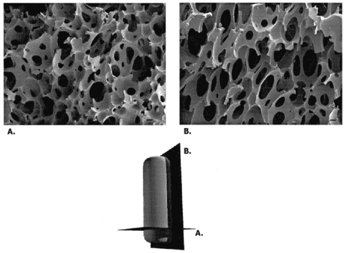 Figure 3 from Pore structure of superporous hydrogels | Semantic Scholar
