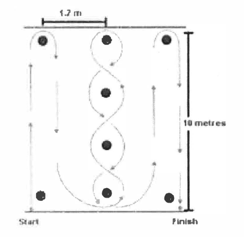 Table 2 from The effects of a 6-week plyometric training program on ...