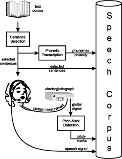 Figure 1 from Design of speech corpus for text-to-speech synthesis ...