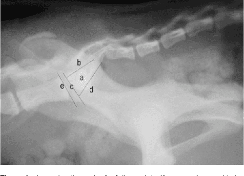 Figure 3 from Stabilization of sacroiliac luxation in 40 cats using ...