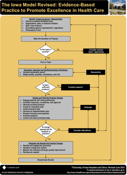 Iowa Model of Evidence‐Based Practice: Revisions and Validation ...