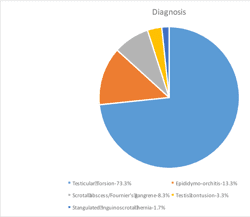 Figure 1 from A Validation of the “twist” Score in Diagnosis of Acute ...