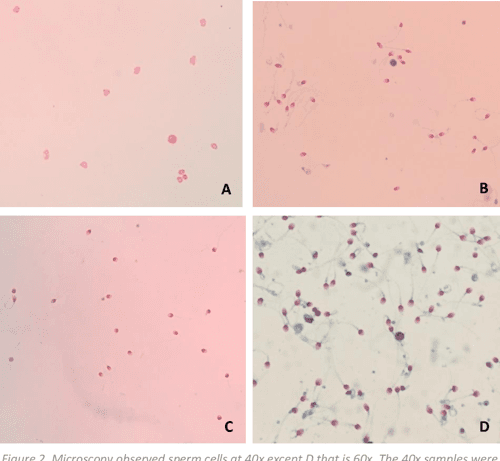 Figure 7 from Validation of “Christmas tree” staining method for ...
