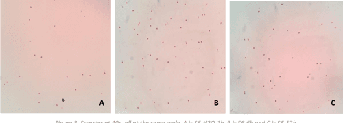Figure 2 from Validation of “Christmas tree” staining method for ...