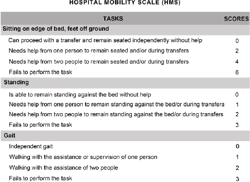 Figure 1 from A Simple Hospital Mobility Scale for Acute Ischemic ...