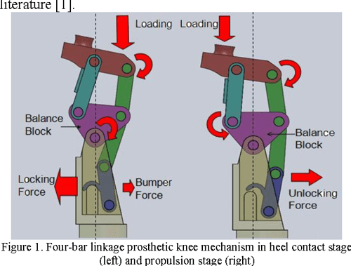 Figure 5 from Topology Optimization of a Prosthetic Knee Joint ...