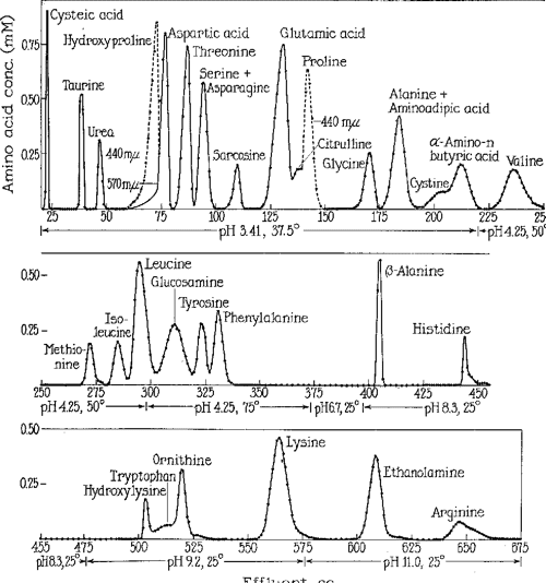 Figure 3 from Chromatography of amino acids on sulfonated polystyrene ...