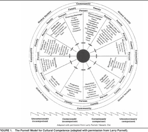 A Description of the Purnell Model for Cultural Competence | Semantic ...