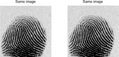 Fingerprint Recognition And Matching Using Matlab Semantic Scholar