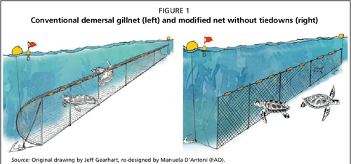 Figure 1 from Abandoned, lost or otherwise discarded gillnets and ...