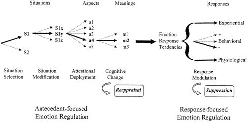 [PDF] Individual differences in two emotion regulation processes ...