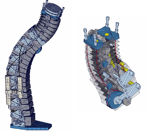 Figure 28 from BioRID II Dummy Model Development-- Influence of ...