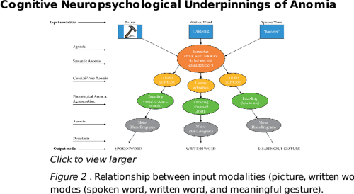 [PDF] Anomia and Anomic Aphasia: Implications for Lexical Processing ...