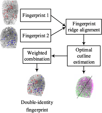 Figure 1 from Deep Convolutional Neural Network for Double-Identity Fingerprint Detection ...