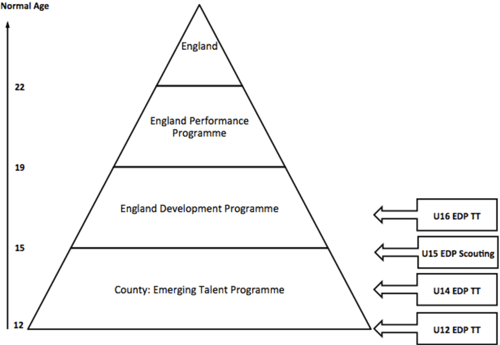 Figure 1.1 from Preliminary stages in the validation of a talent ...