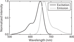 Figure 2.1 from Assembly and optimization of a super-resolution STORM ...