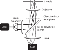 Figure 2.1 from Assembly and optimization of a super-resolution STORM ...