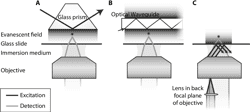 Figure 2.1 from Assembly and optimization of a super-resolution STORM ...