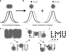 Figure 2.1 from Assembly and optimization of a super-resolution STORM ...