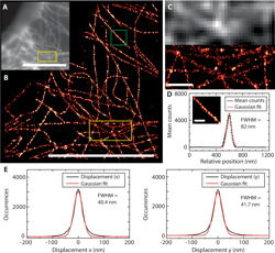Figure 2.1 from Assembly and optimization of a super-resolution STORM ...