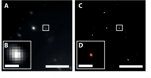 Figure 2.1 from Assembly and optimization of a super-resolution STORM ...