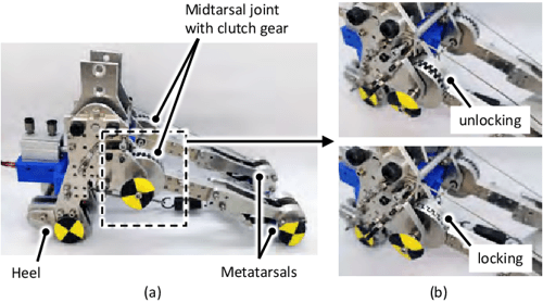 Design of a Robotic Foot with Midtarsal Joint Locking Mechanism ...