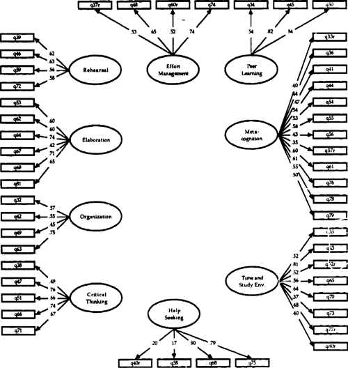 [PDF] A Manual for the Use of the Motivated Strategies for Learning ...