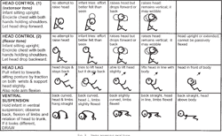 Figure 8 from The Dubowitz neurological examination of the full-term ...