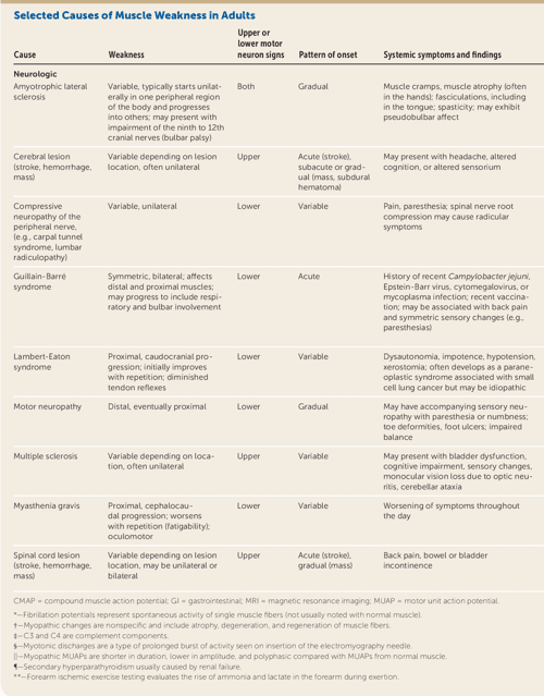 [PDF] Muscle Weakness in Adults: Evaluation and Differential Diagnosis ...