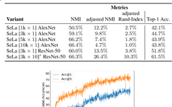 Table 10 from Self-labelling via simultaneous clustering and representation learning | Semantic ...