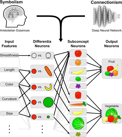 Table 2 from A neural network model of perception and reasoning ...