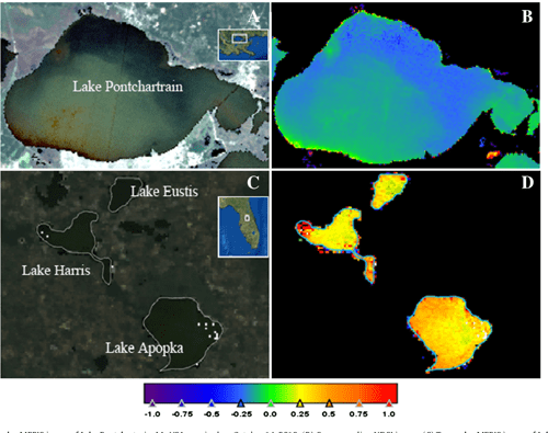[PDF] Normalized difference chlorophyll index: A novel model for remote ...