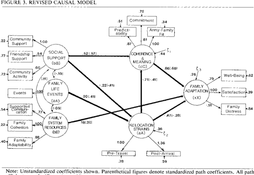[PDF] The Double ABCX Model of Family Stress and Adaptation: An ...