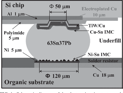 Figure 1 from Mechanism of electromigration-induced failure in flip ...