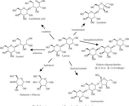 [PDF] Lactose: Crystallization, hydrolysis and value-added derivatives ...