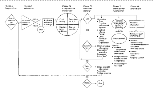 Figure 3 from Updating the Stetler Model of research utilization to ...