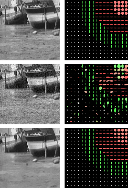Figure 1.1 from Nonlocal smoothing and adaptive morphology for scalar ...
