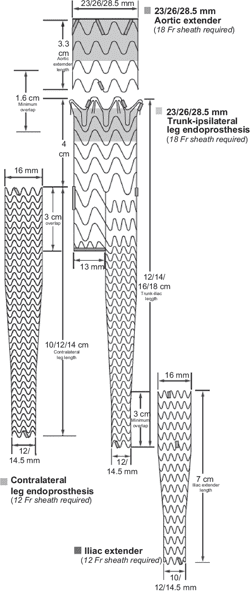 [PDF] Gore excluder device with the C3 delivery system for management ...