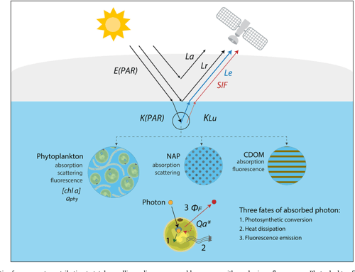 Figure 1 from Remote sensing of sun-induced chlorophyll-a fluorescence ...