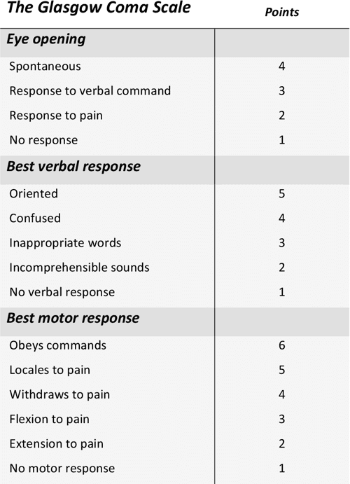 Guidelines For A Brief Neurological Nursing Assessment In Acute Care