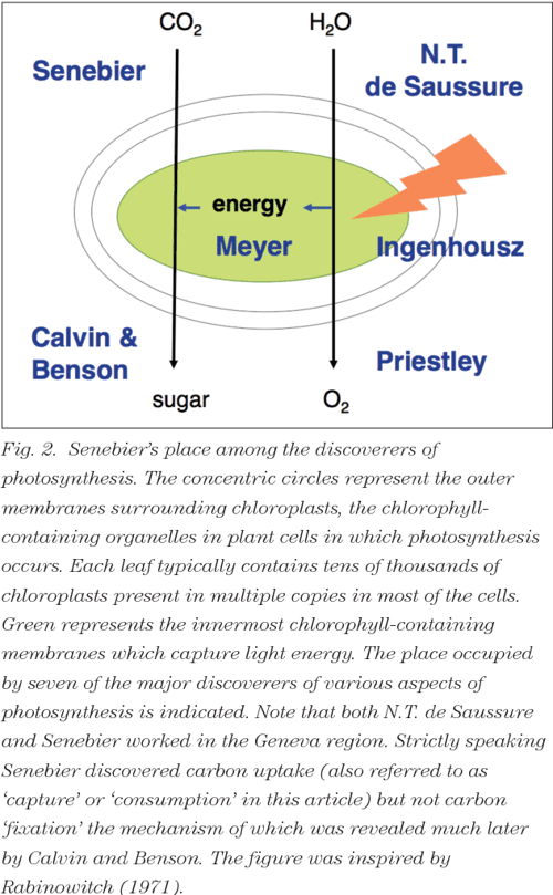 Figure 2 from Jean Senebier ’ s thoughts on experimentation and their ...