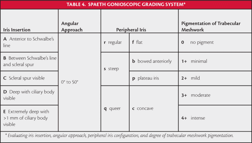 [PDF] The Spaeth Gonioscopic Grading System Assessing the configuration ...