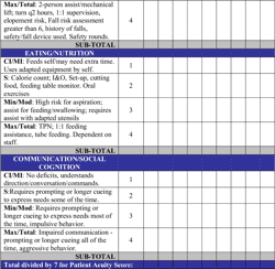 Development of a Patient Acuity Model for an Inpatient Rehabilitation ...