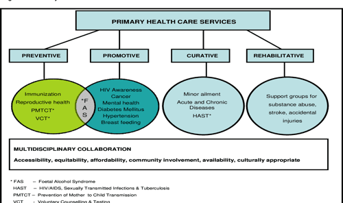 Figure 4.2 from PRIMARY HEALTH CARE CHALLENGES IN EKURHULENI ...