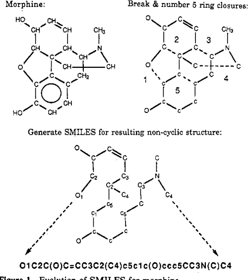 [PDF] SMILES, a chemical language and information system. 1 ...