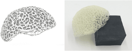 [PDF] Scaffolding Generation using a 3D Physarum Polycephalum Simulation | Semantic Scholar