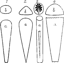 Figure 1 from On some new species of Paleozoic fossils | Semantic Scholar