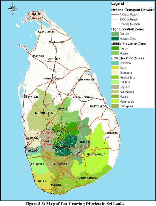 Figure 6-3 from Identifying the influencing factors in sustainable tea ...