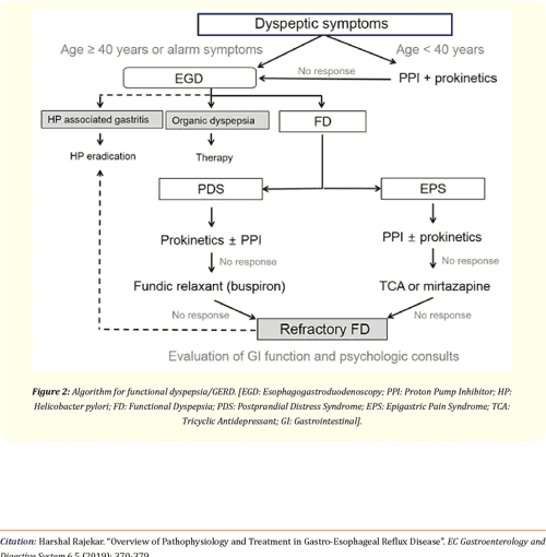 Overview of Pathophysiology and Treatment in GastroEsophageal Reflux ...