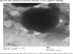Figure 6 from A New Discovery on How Bee Venom Components Treat Viruses ...
